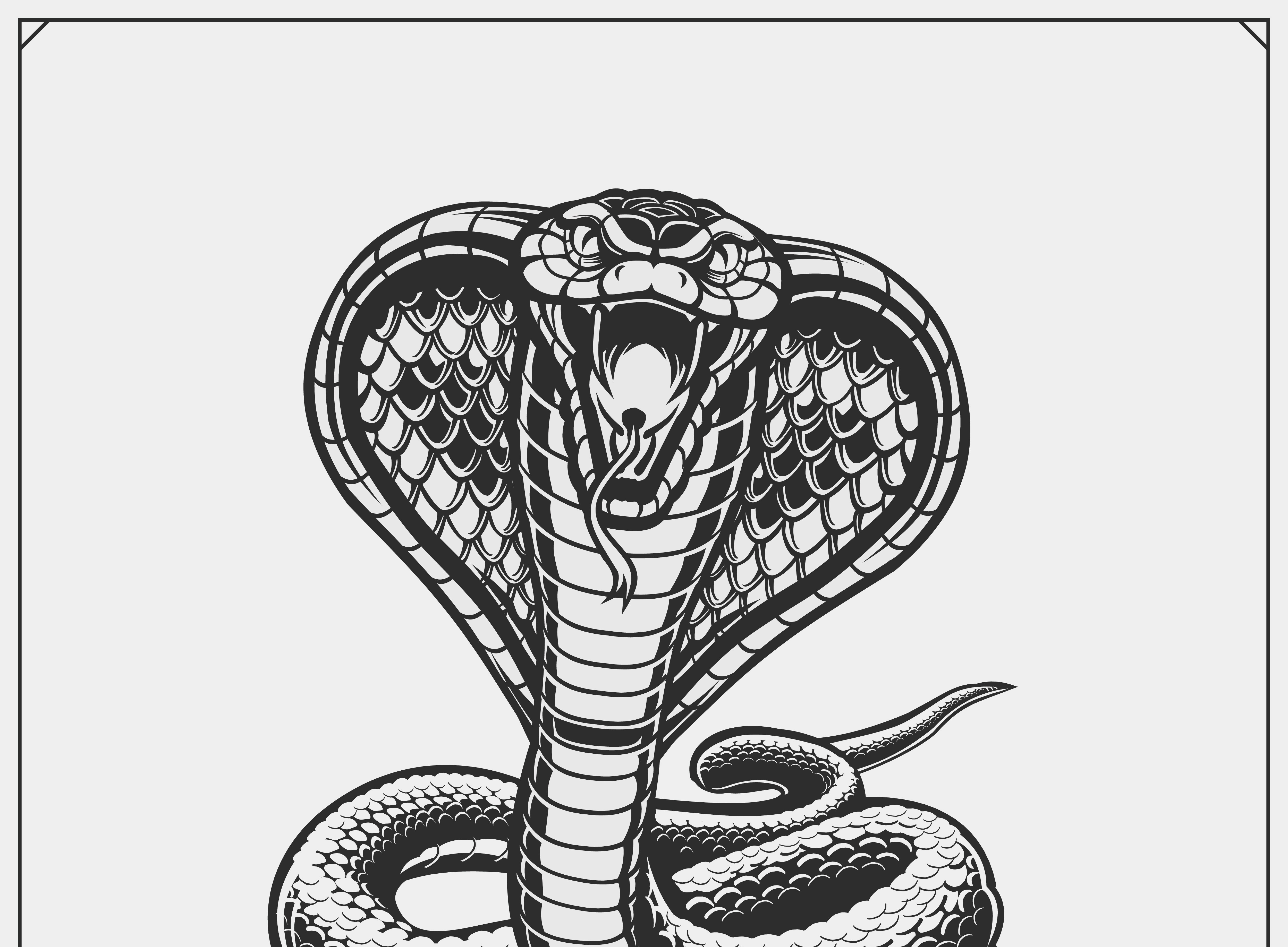 The Cobra Effect: When it all goes wrong