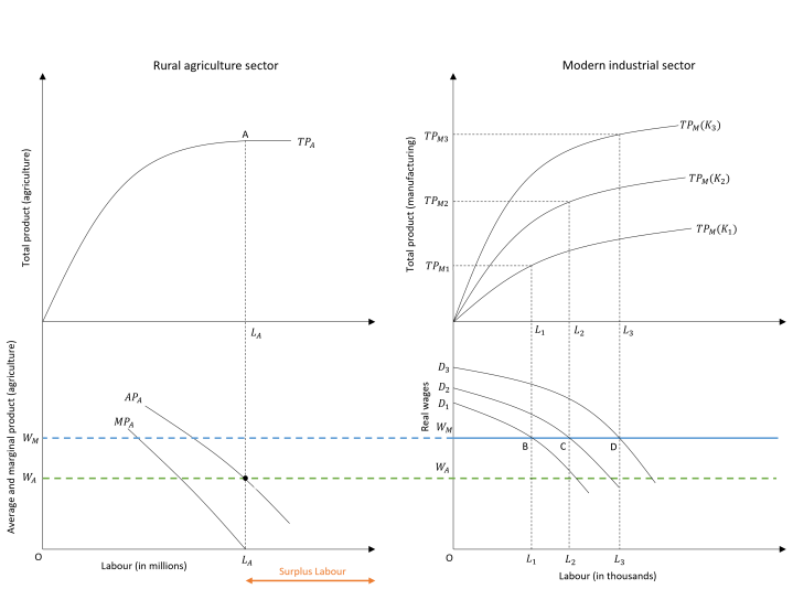 The Lewis Model of Development