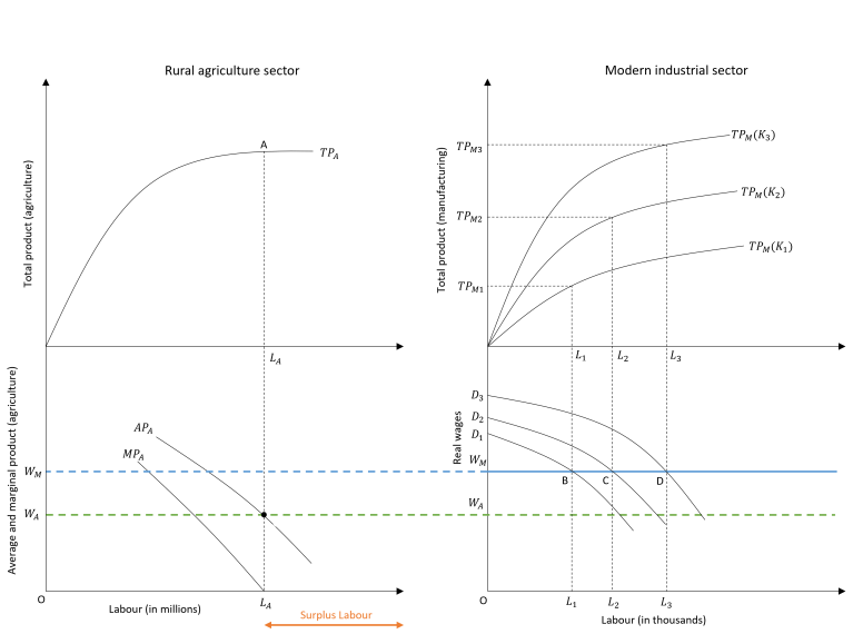 The Lewis Model of Development