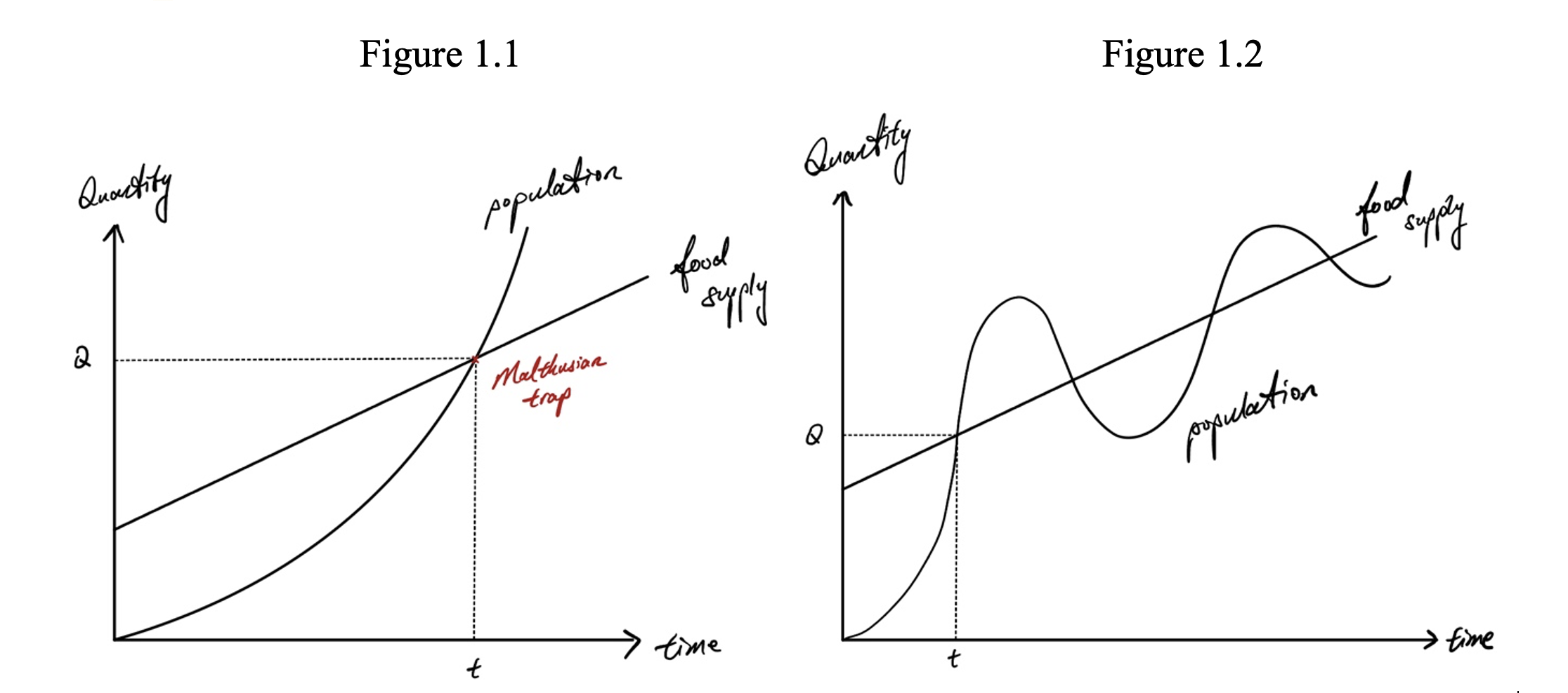 The Malthusian Trap of Societal Collapse